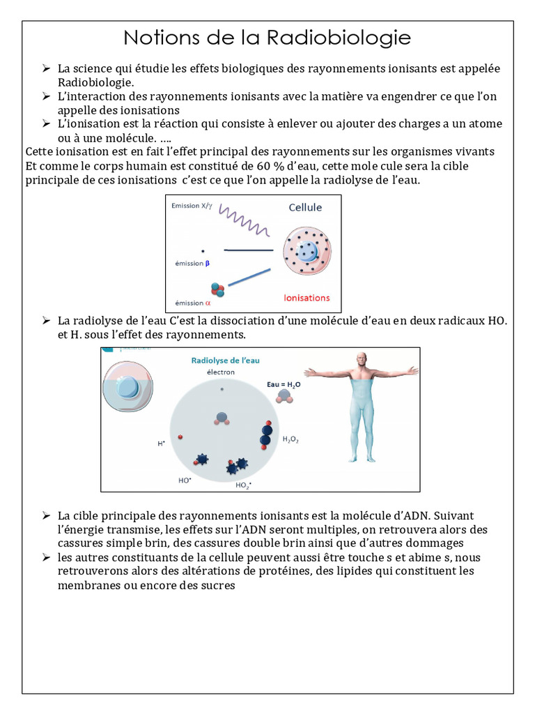 Radiolyse de l'eau en radiobiologie | PDF | Radiobiologie | Réparation ...