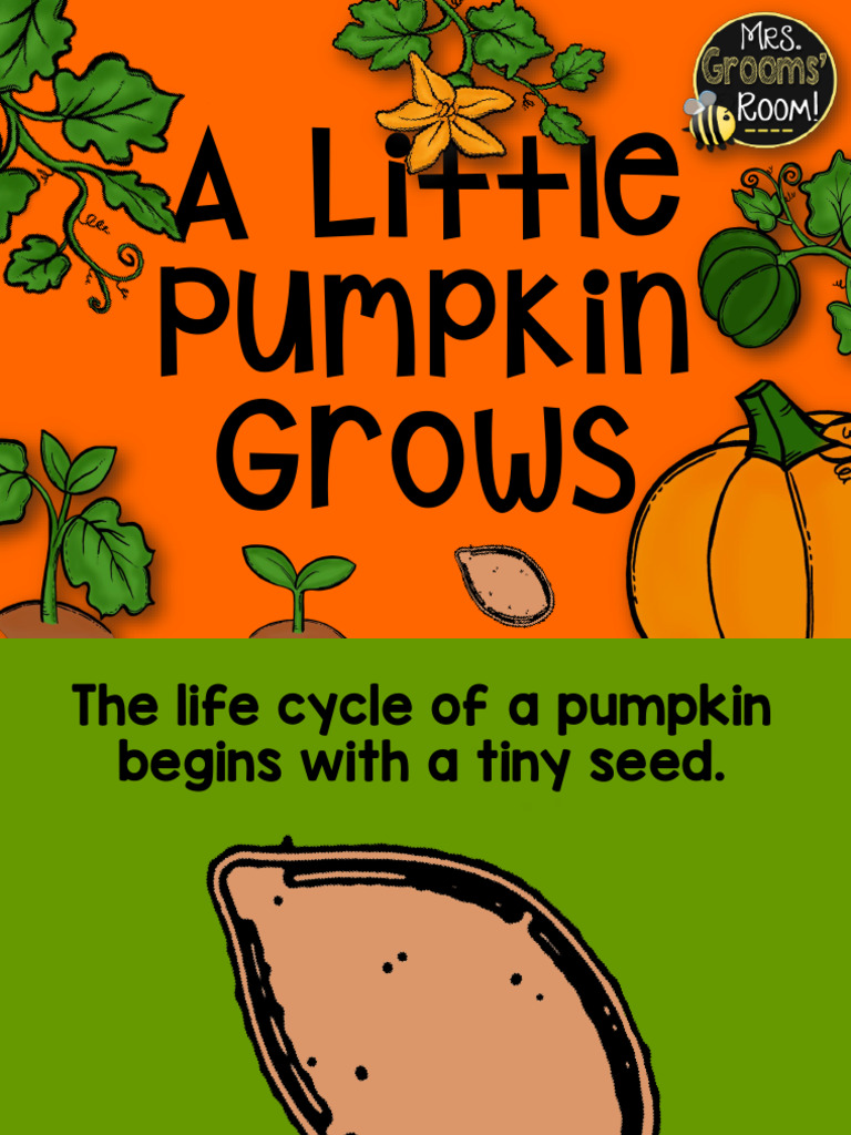 Pumpkin Life Cycle for Kids | PDF