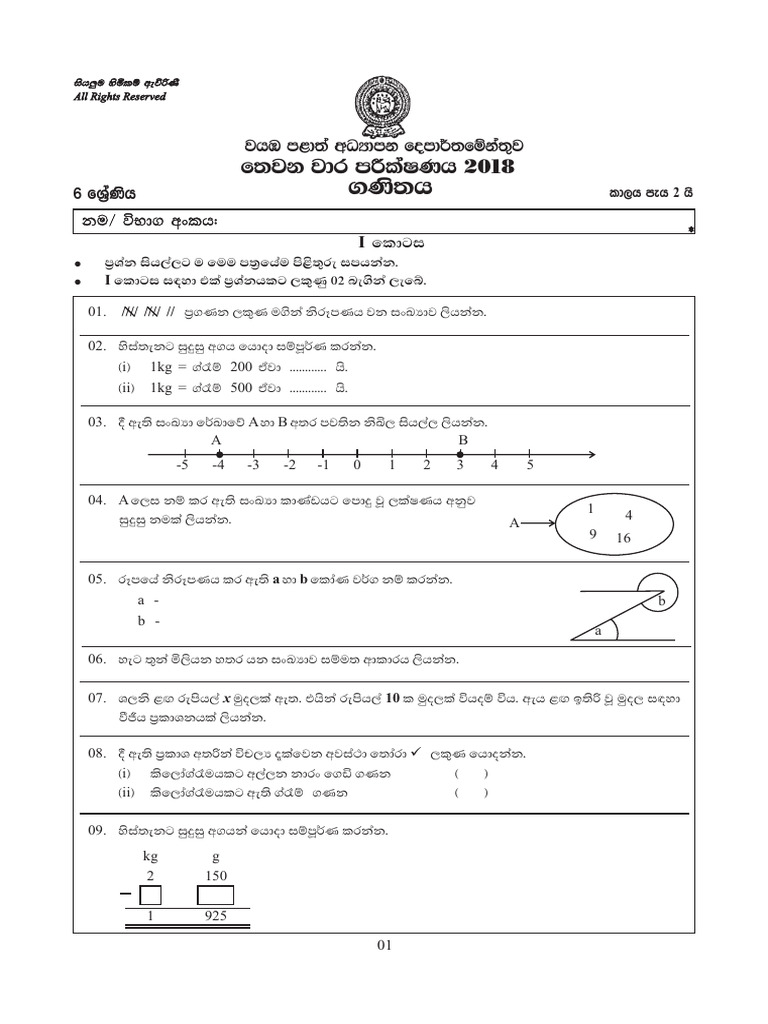 Grade 11 Maths Papers with Answers | PDF