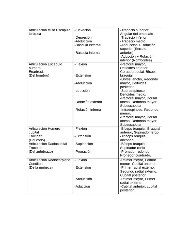 Cuadro Movimiento de Los Musculos Segun Articulaciones | PDF | Anatomía | Anatomía humana