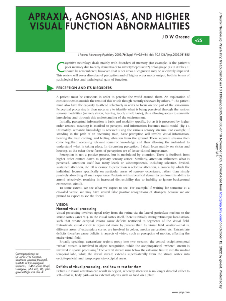 v25 Full | PDF | Perception | Visual System
