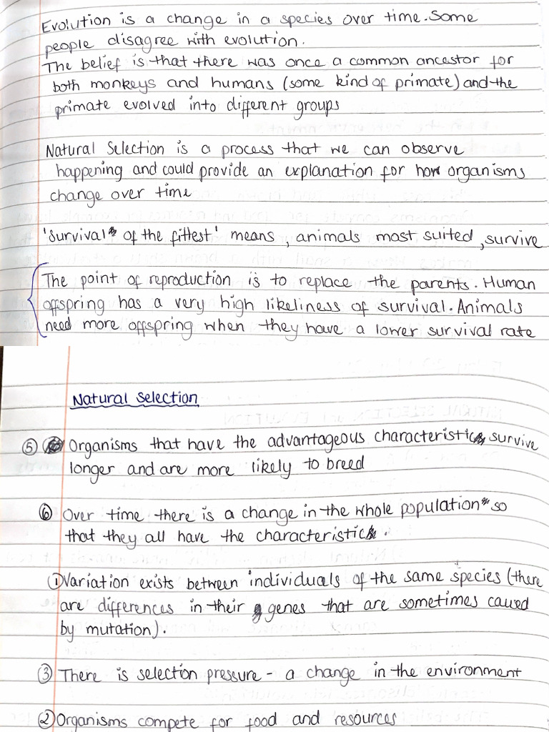 Ku Bio Evolution and Natural Selection | PDF