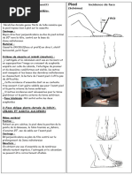 Examen Radiologique du Gril Costal | PDF | Thorax | Système squelettique