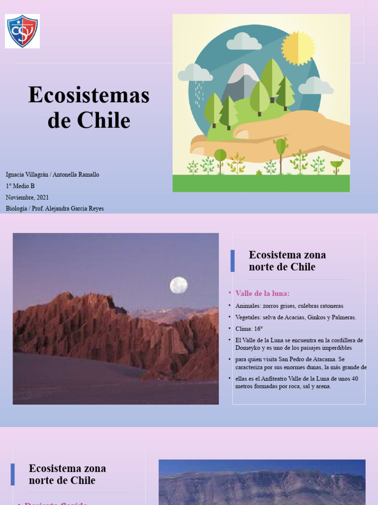 Ecosistemas Diversos de Chile | PDF