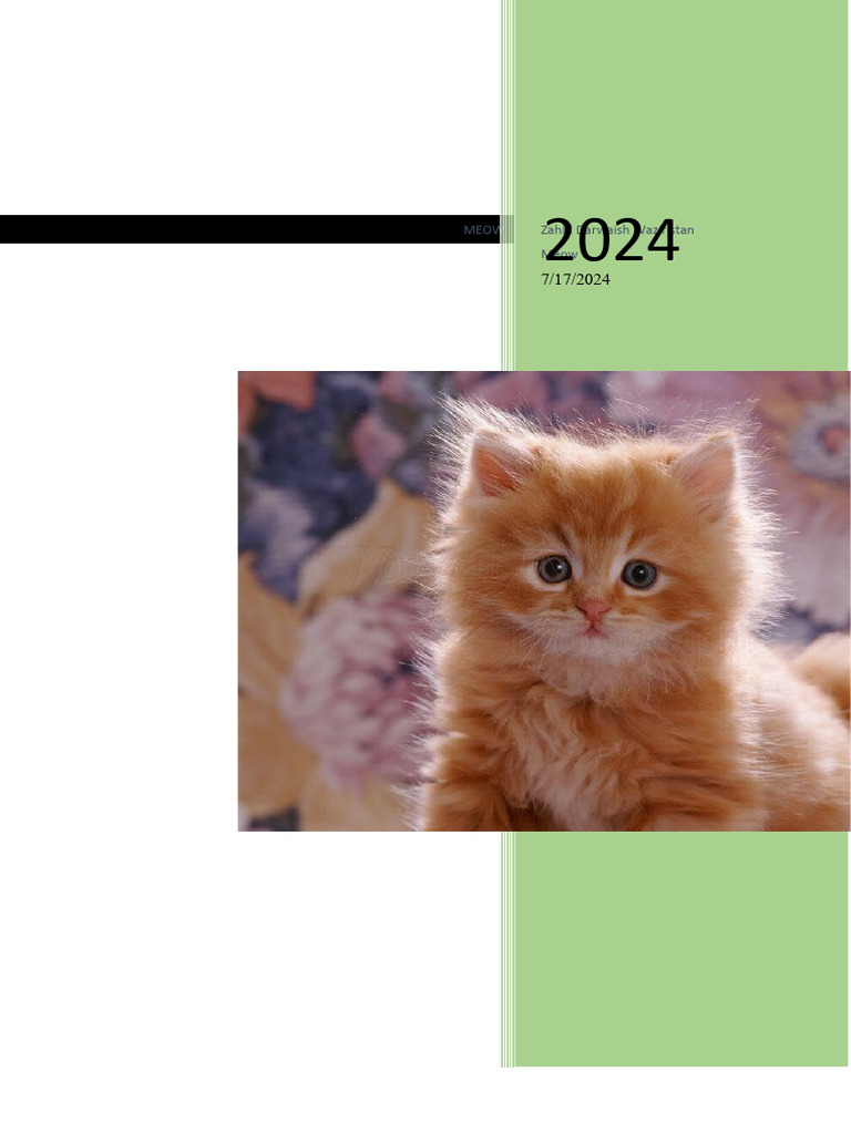 Meow | PDF | Self-Improvement