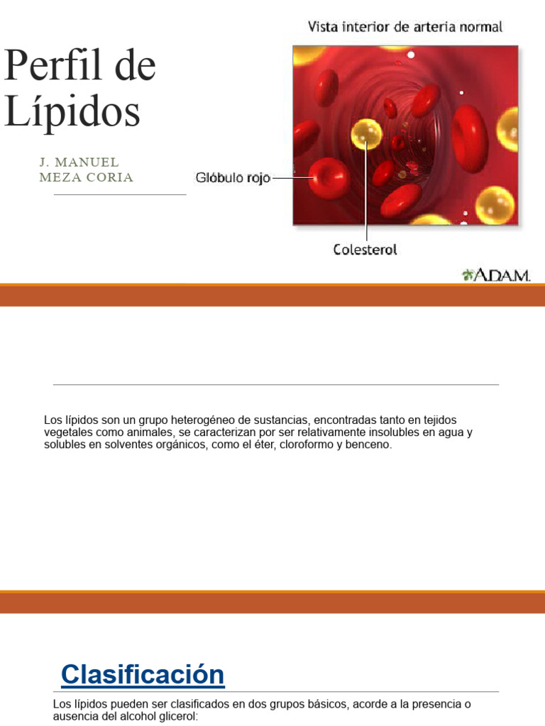 Perfil de LÃ Pidos | PDF | Lipoproteína | Lípido