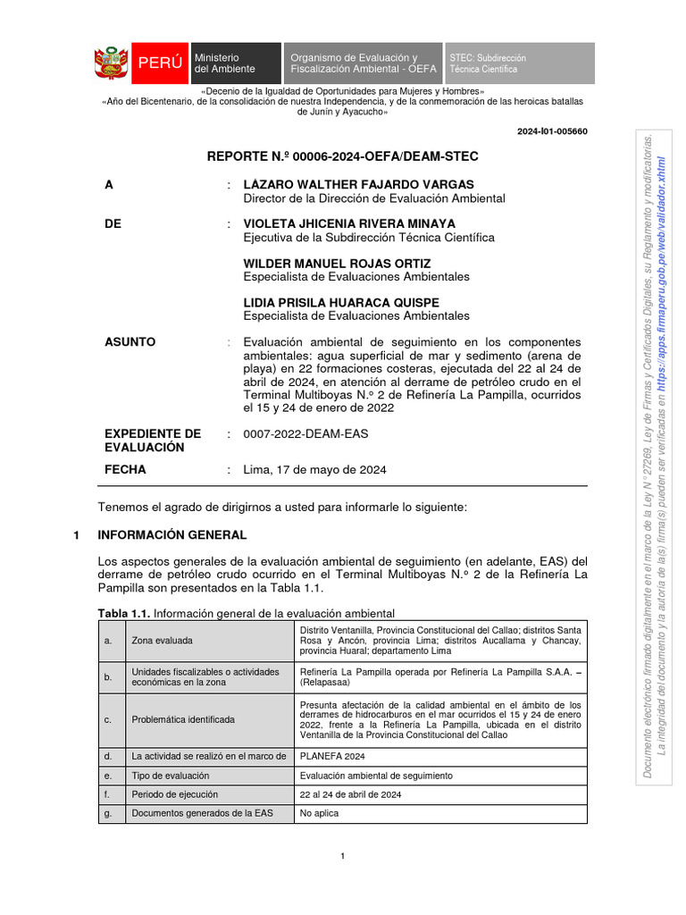 Reporte N 0006-2024-OEFA-DEAM-STEC | PDF | Petróleo | Ciencias de la Tierra