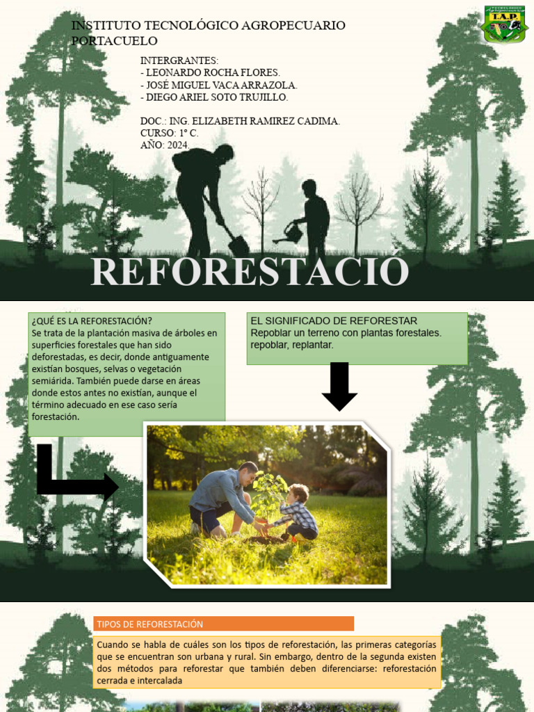 Trabajo de Reforestación | PDF | Suelo | Los bosques