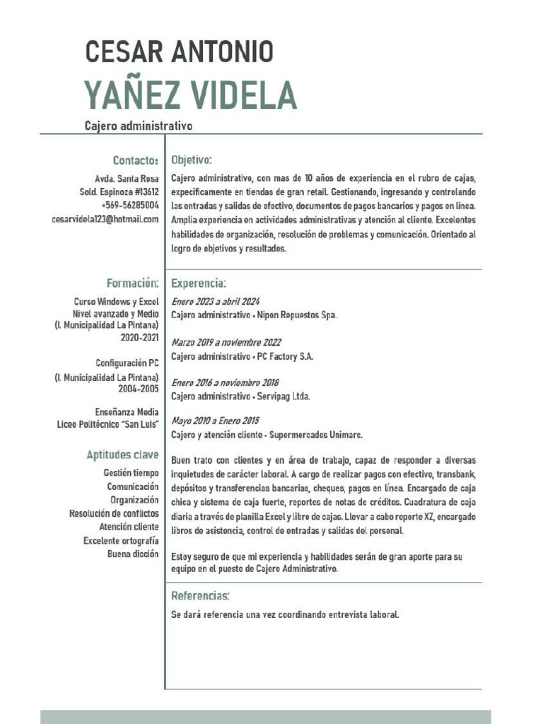 CV Cesar Yañez | PDF