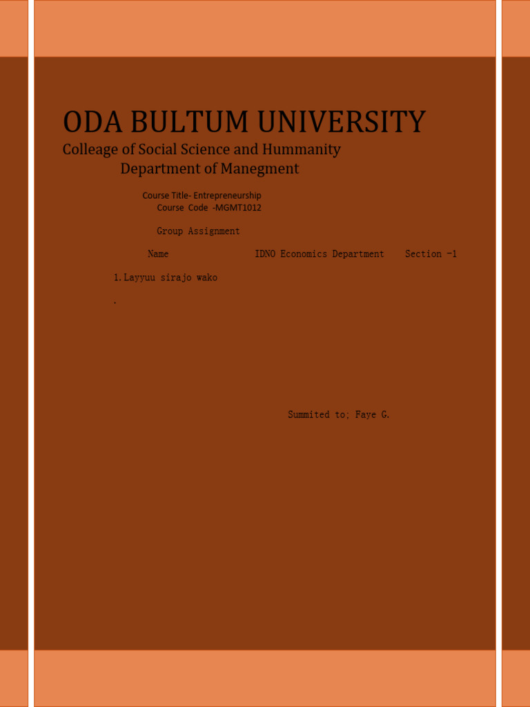 Oda Bultum Universite (4) - 1 | PDF | Expense | Balance Sheet