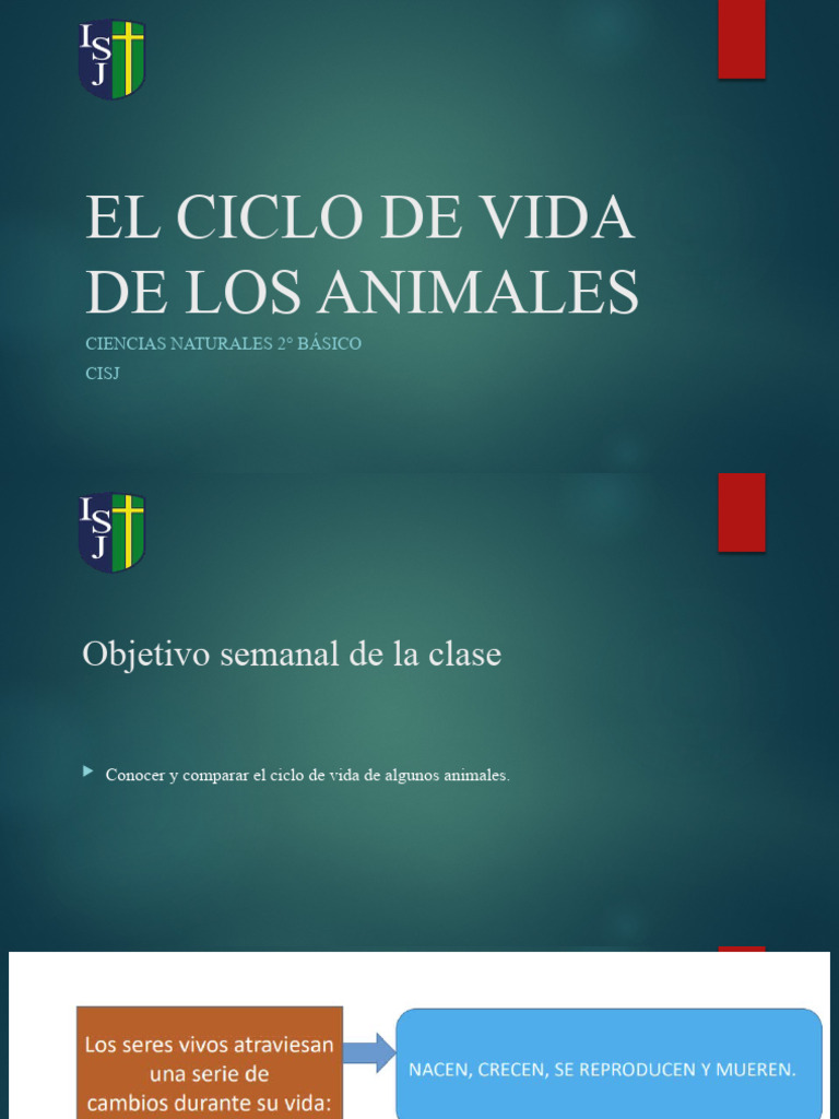 Ciclo de Vida de Los Animales | PDF