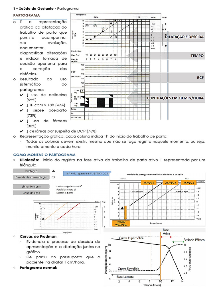 Aula 03 - Partograma | PDF | Parto | Gravidez