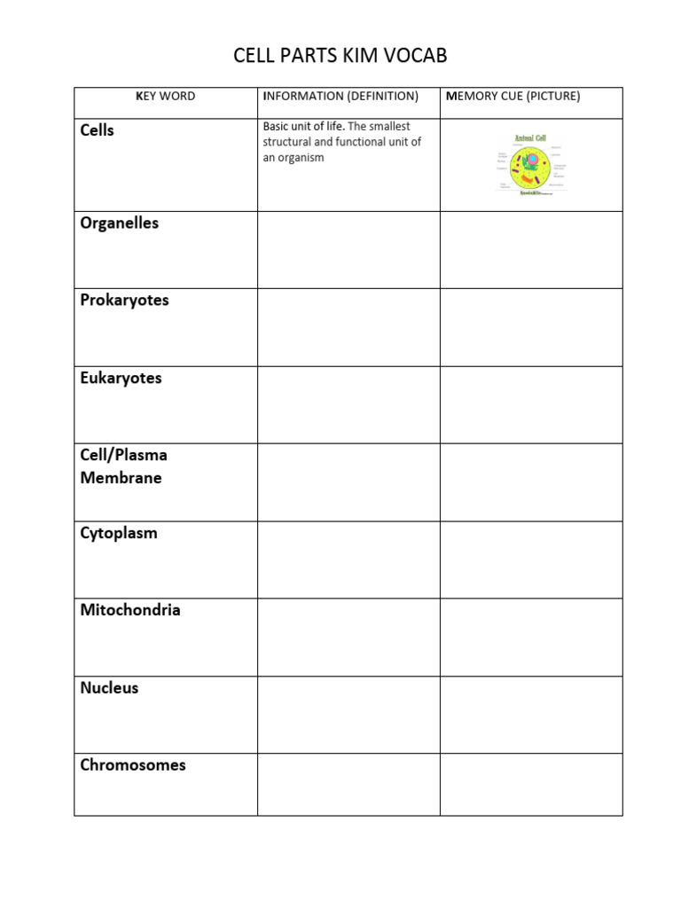 Cell Kim Vocab | PDF