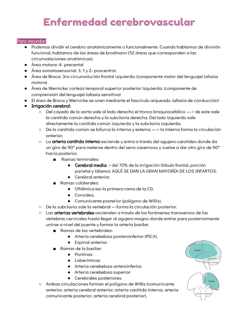 Enfermedad cerebro vascular | PDF | Carrera | Isquemia