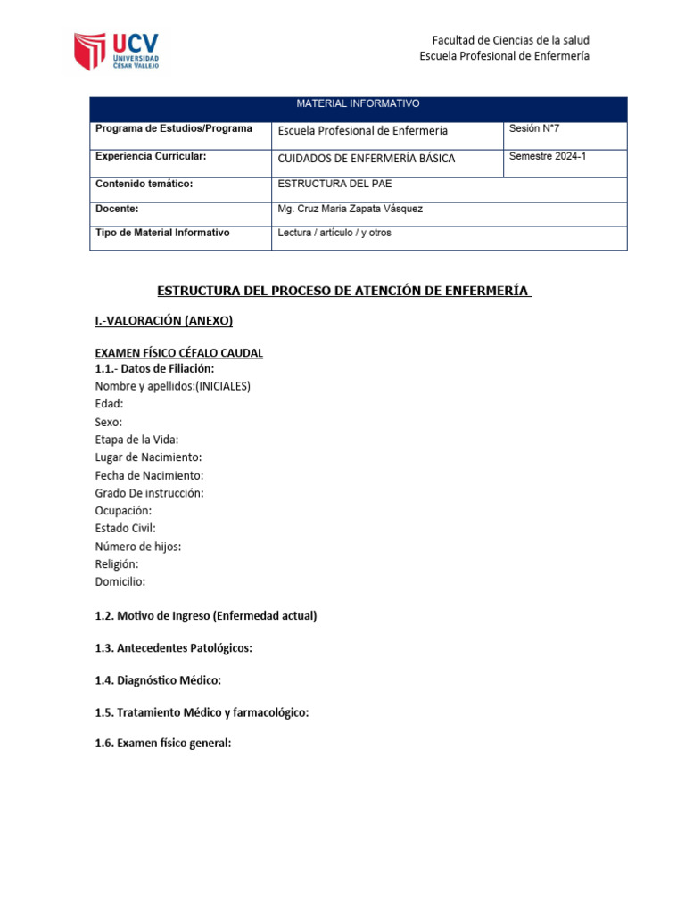 Sesión 7c Estructura Del Pae | PDF | Enfermería | Pesadilla
