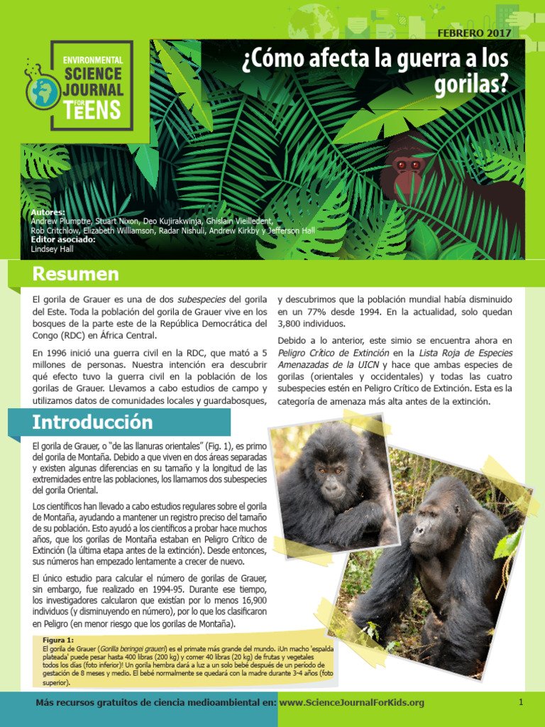 Gorillas Article Key Spanish | PDF | Gorila | Especie en peligro