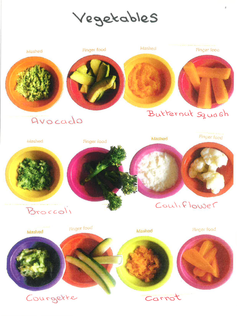 Suugested food groups-mashed and finger food | PDF