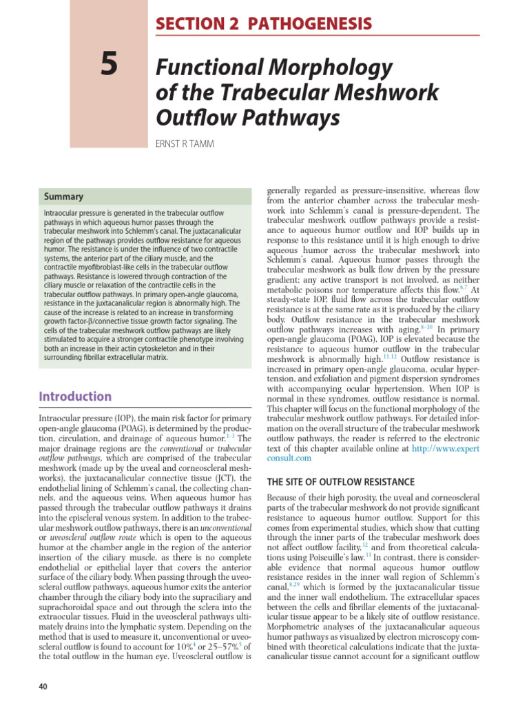 5 Functional Morphology of The Trabecular Meshwork Outflow Pathways ...