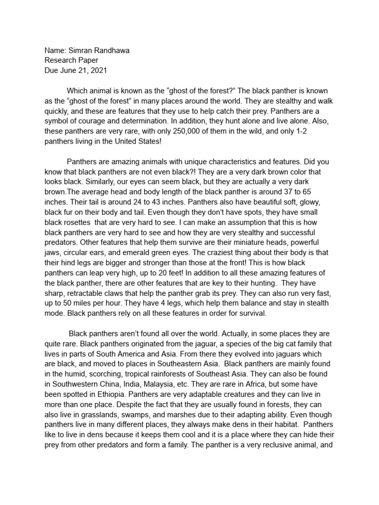 Black Panther Reasearch Paper | PDF | Jaguar | Predation