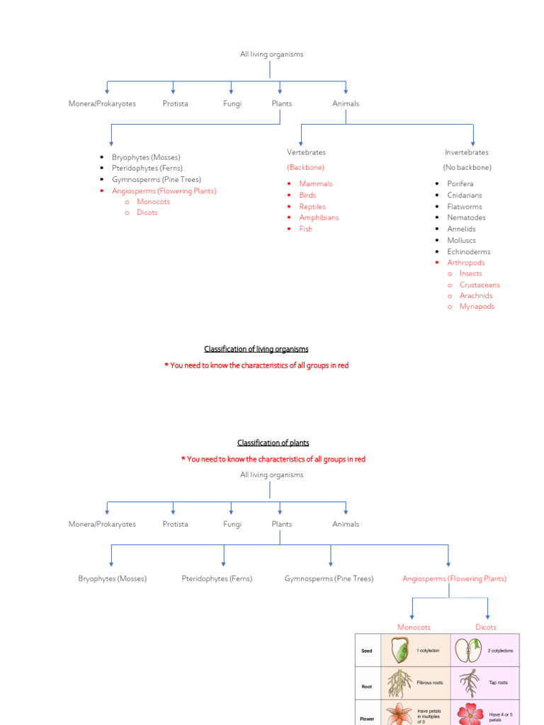 Classification Summary + Coral Reefs Notes | PDF | Invertebrate | Amphibian