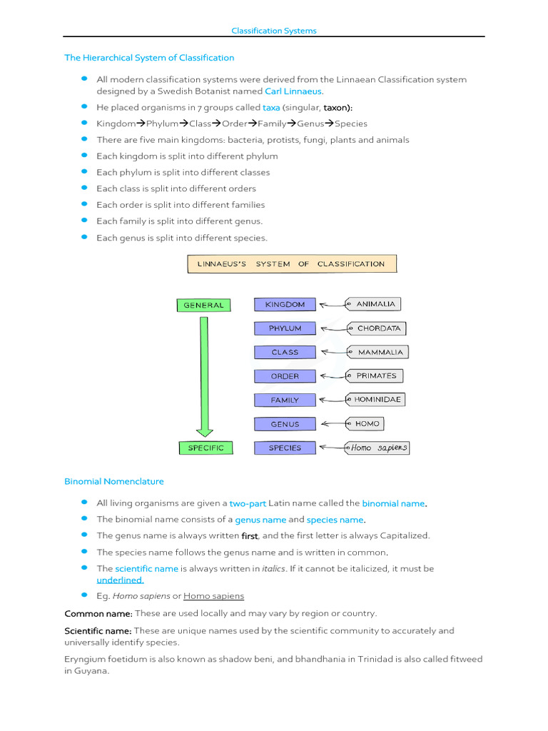 System of Classification | PDF | Taxonomy (Biology) | Genus