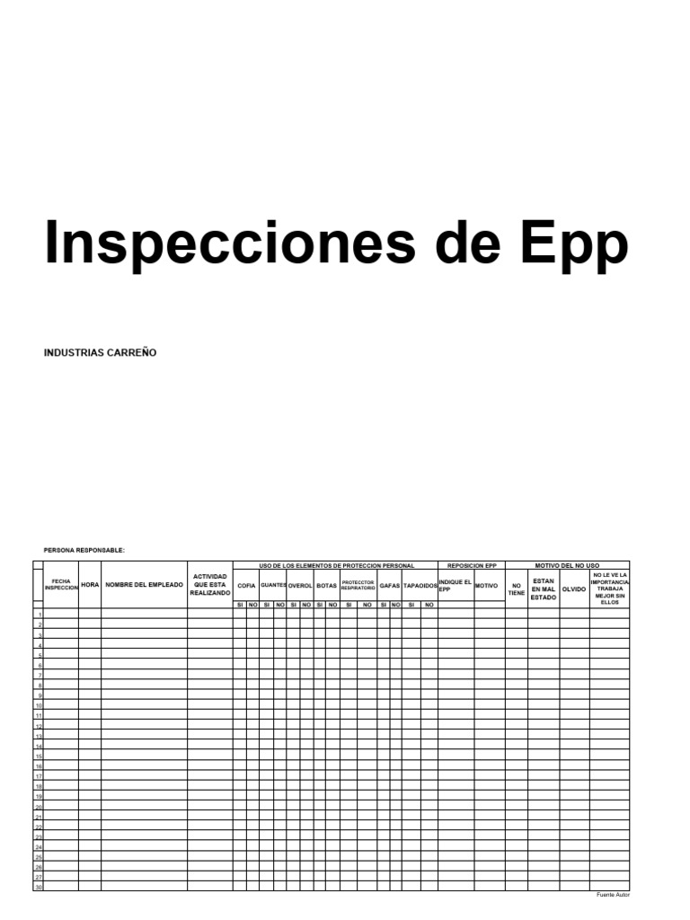 Inspeccion de Epp | PDF