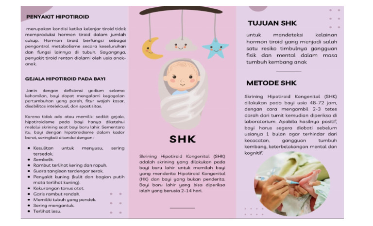 SHK Leafleat | PDF