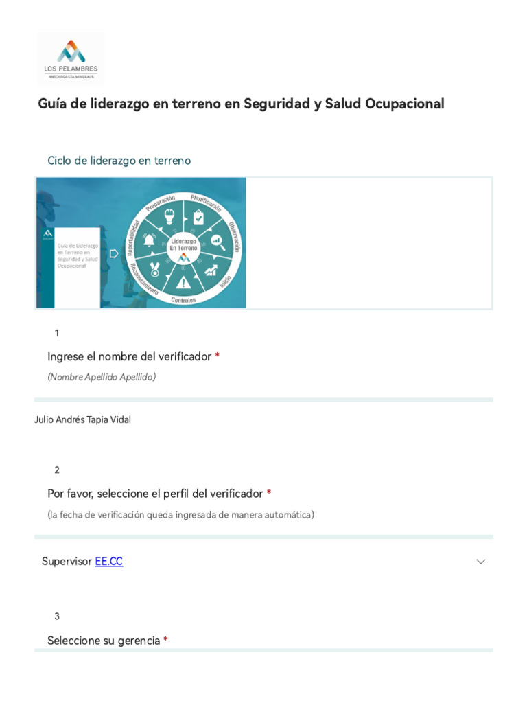 Guía de Liderazgo en Terreno en Seguridad y Salud Ocupacional | PDF