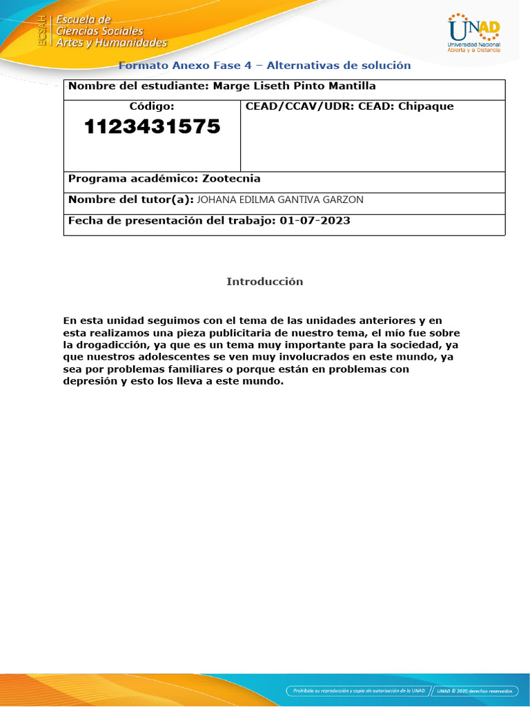 Anexo 3 - Formato Anexo Fase 4 | PDF