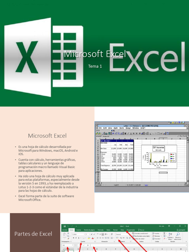Excel 01 | PDF | Microsoft Excel | Ingeniería de software