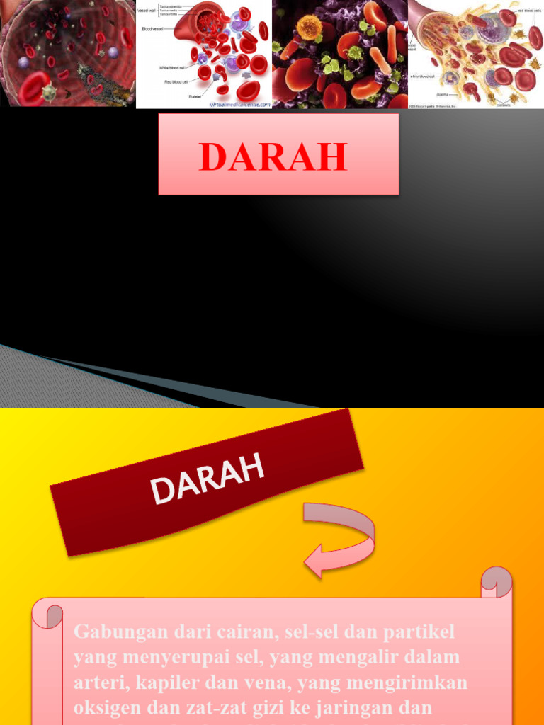 Komponen dan Fungsi Darah Manusia | PDF
