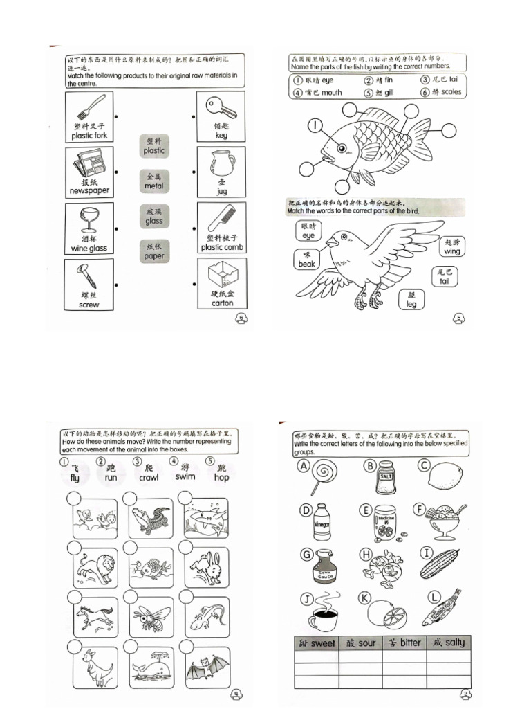 k2,3 Scince Worksheets b4 Cny | PDF