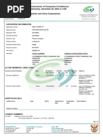 CSD Report | PDF | Identity Document | Taxes