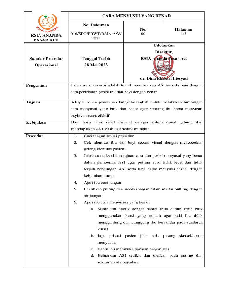 Panduan Menyusui yang Benar di RSIA Ananda | PDF | Pengembangan Diri ...