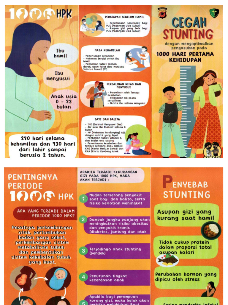 flyer stunting | PDF