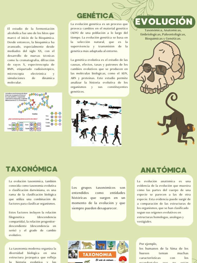 Folleto Tríptico Consejos Para Cuidar A Tus Plantas Ilustrado Verde