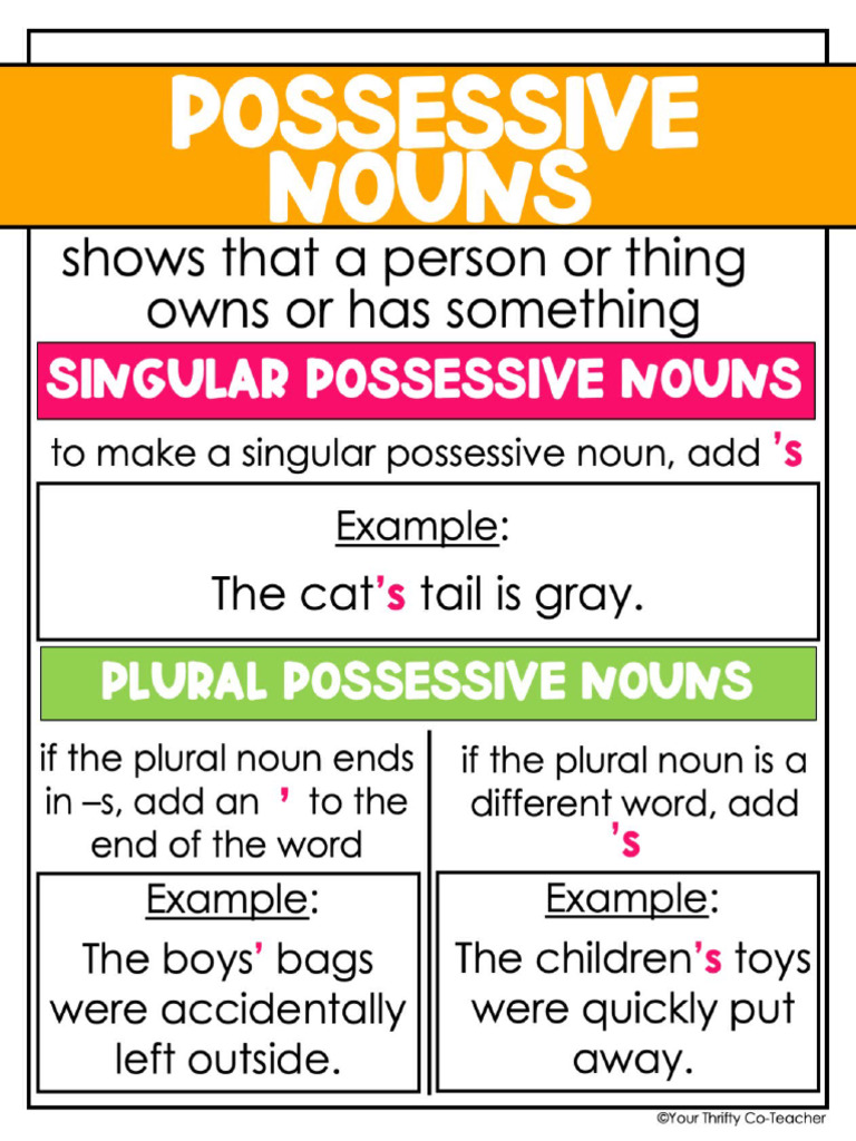 Possessive Nouns Anchor Chart Final | PDF