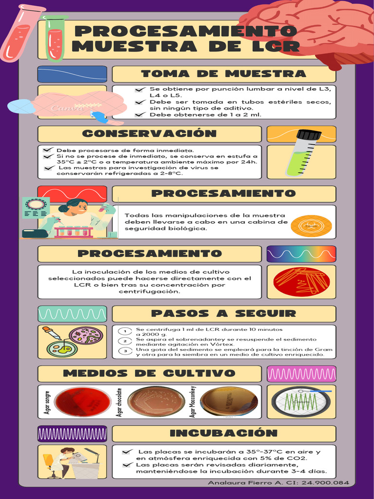 Procesamiento Muestra de LCR | PDF