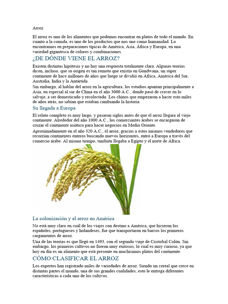 Arroz | PDF | Arroz | Agricultura