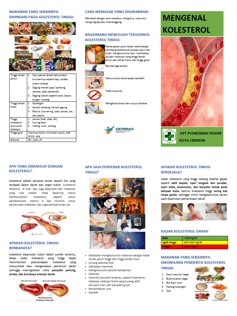 Leaflet Kolesterol Benar | PDF
