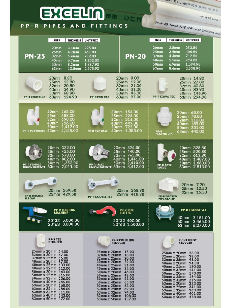 Excelin Updated Pricelist June 2024 | PDF