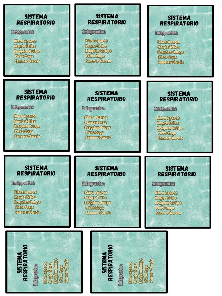 Bolantes Del Sistema Respiratorio | PDF