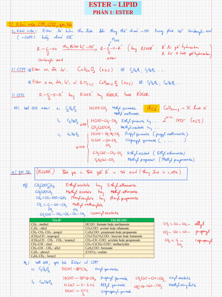 LÝ THUYẾT ESTER B1-VIẾT TAY | PDF