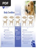 Royal Canin Body Condition Score Charts | PDF | Abdomen | Pelvis