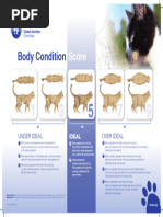 Tenderness Grading PDF | PDF | Medical Specialties | Musculoskeletal System