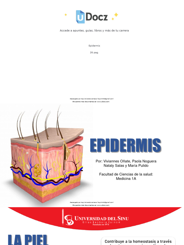 Epidermis | Descargar gratis PDF | Epidermis | Sistema tegumentario