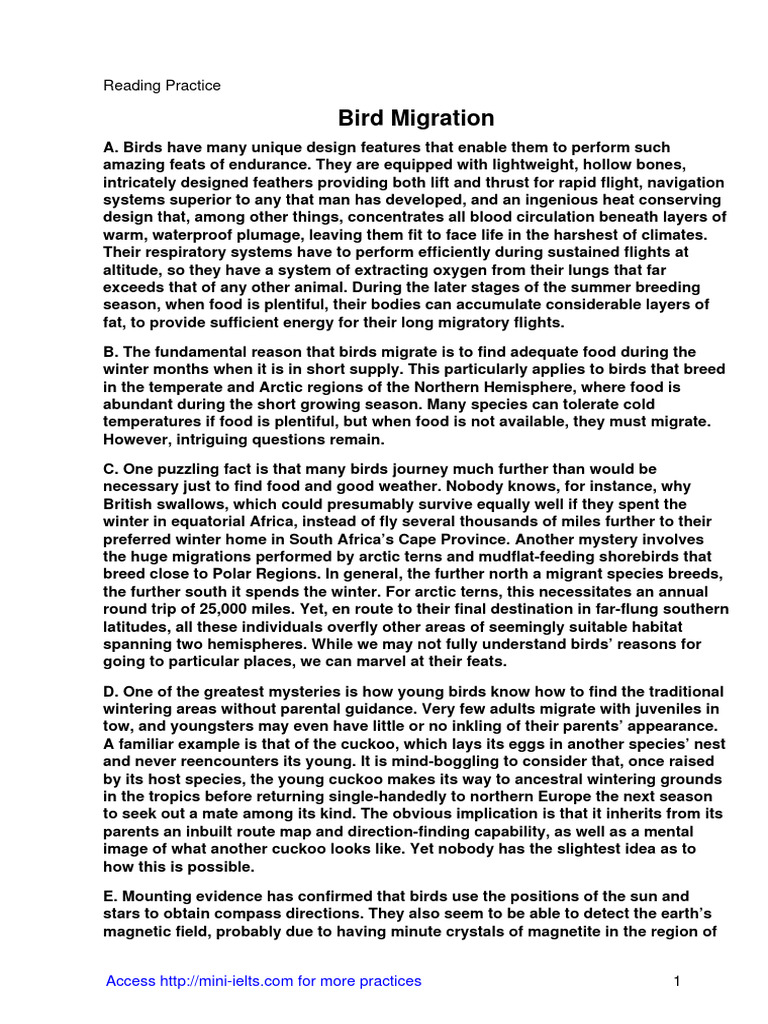 Bird Migration | PDF | Bird Migration | Birds