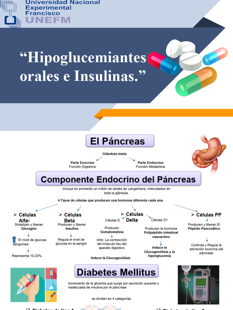 hipoglucemiantes o insulinas | Descargar gratis PDF | Páncreas | Insulina