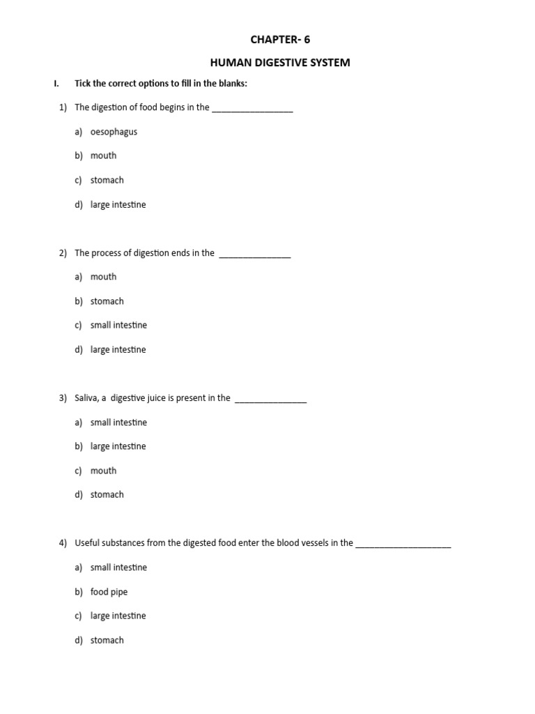 Sci-Digestive System-Class 4 | PDF | Digestion | Stomach