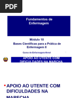 Fleimao | PDF | Medicina Clínica | Especialidades médicas